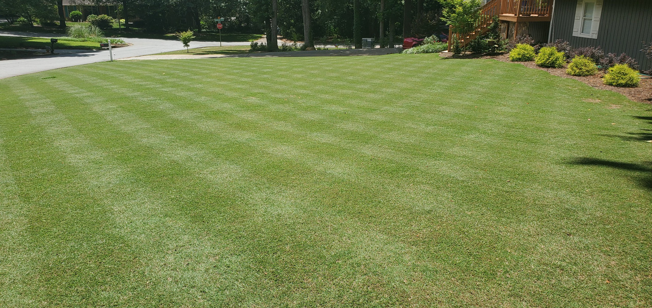 Arden 15 extra seed needed | Lawn Care Forum