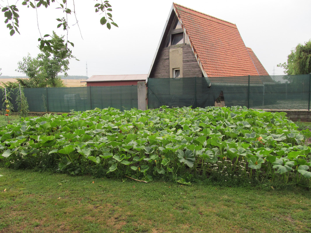 IMG 5465 — Postimages