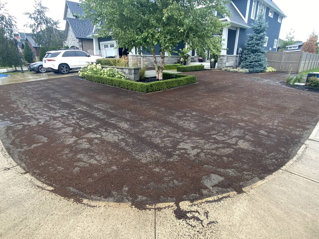 82 F4 B614 602 E 49 AB A4 C6 679442 A13 A72 — Postimages