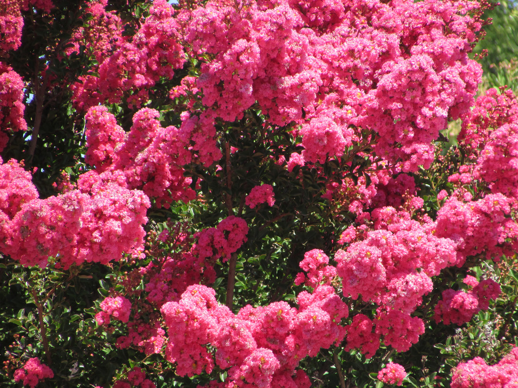 IMG 1012 — Postimages