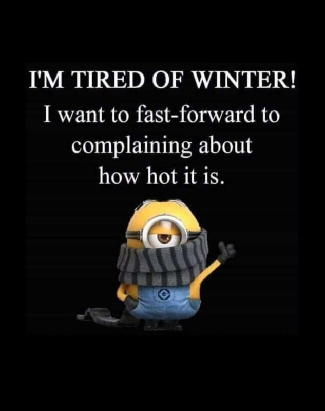 IMG 20250115 WA0055 — Postimages