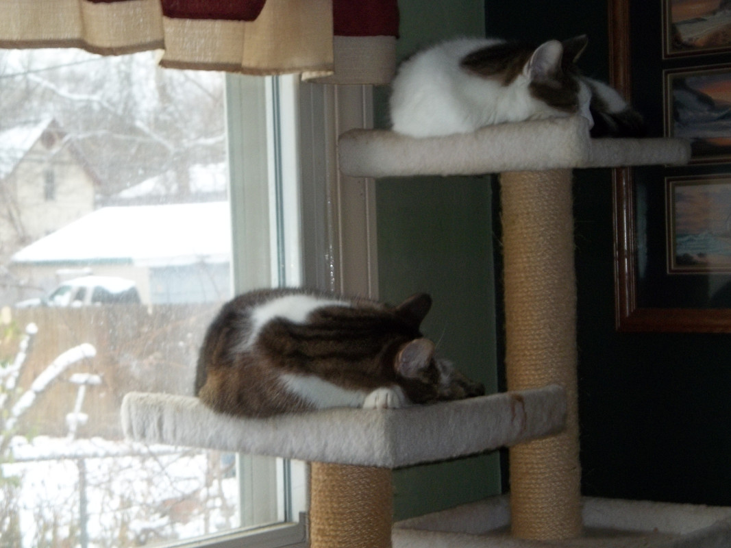 100 1666 — Postimages