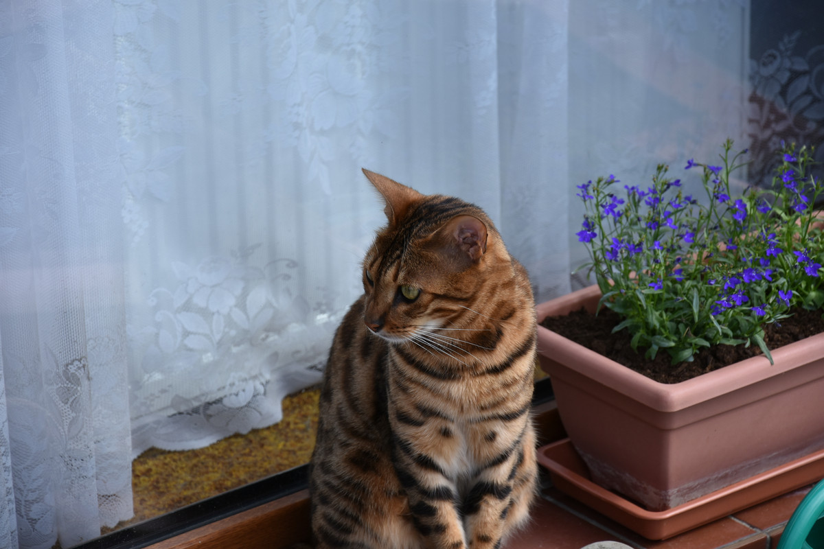 DSC 0628 — Postimages