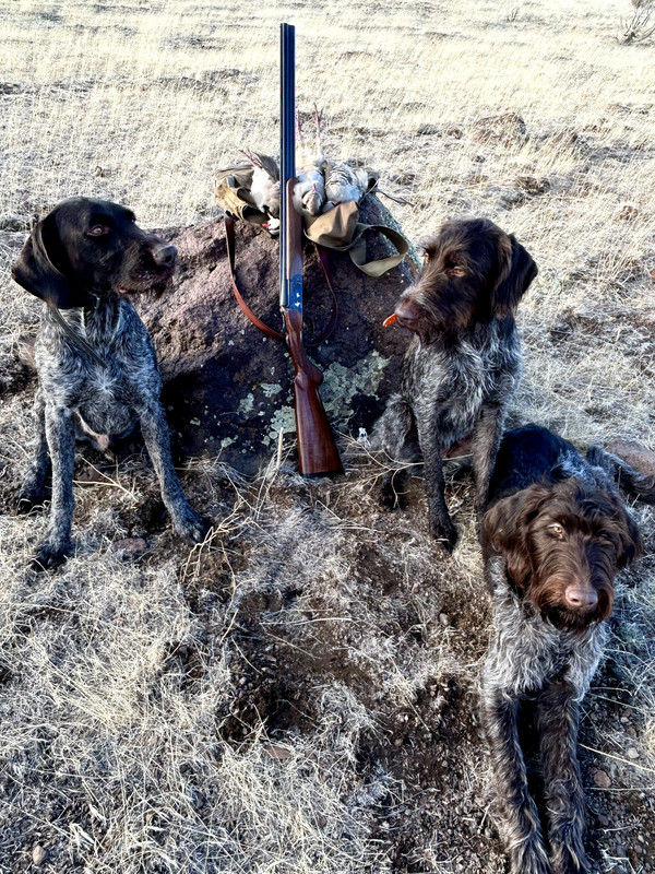 IMG 2582 — Postimages