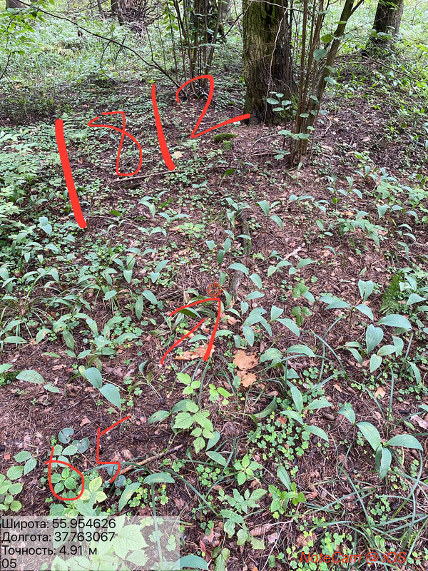 IMG 5326 — Postimages