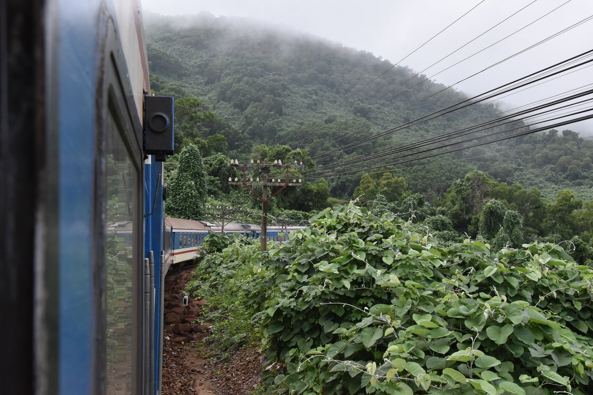 DSC 0619 — Postimages