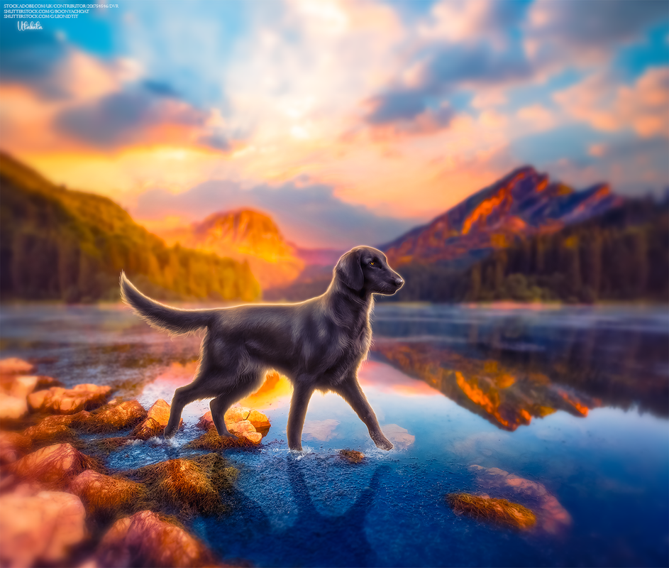 ade fc ret 1500 — Postimages