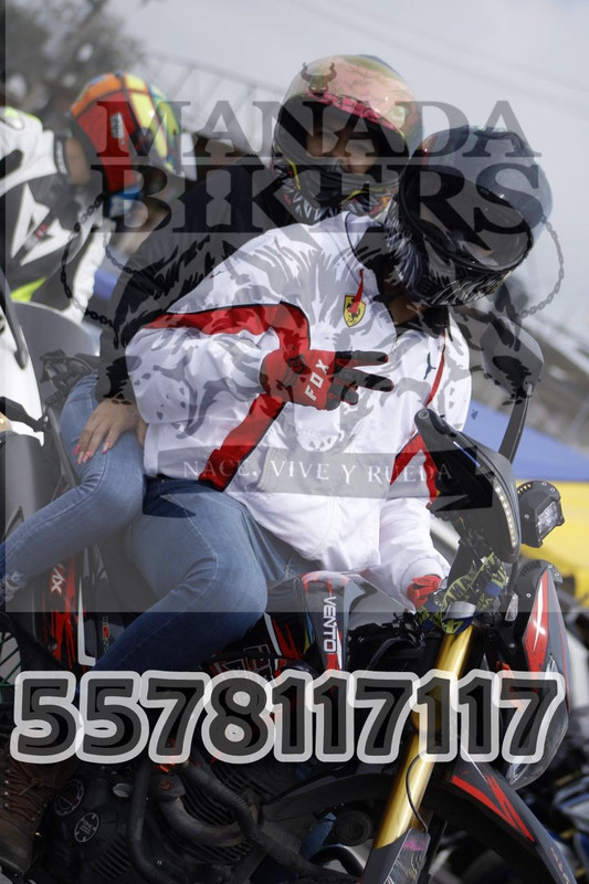 Album — Postimages