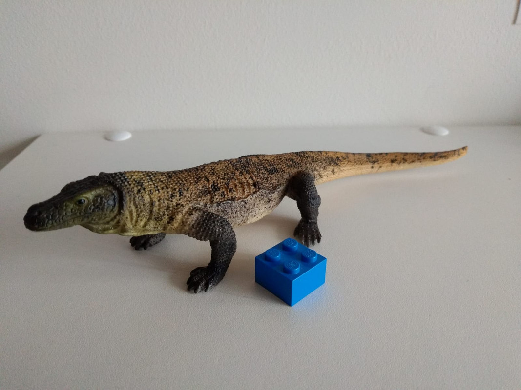 Wild and Farm animals 2020 from Mojo Fun!