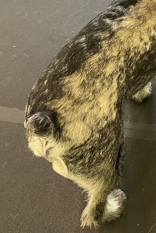 18379 A0 E 07 B1 4174 BC14 7 FDF0 CB4 F763 — Postimages