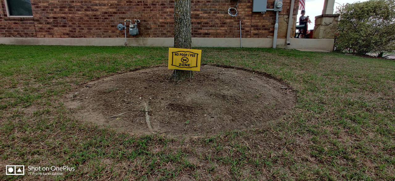 Edging, barriers around tree | Lawn Care Forum