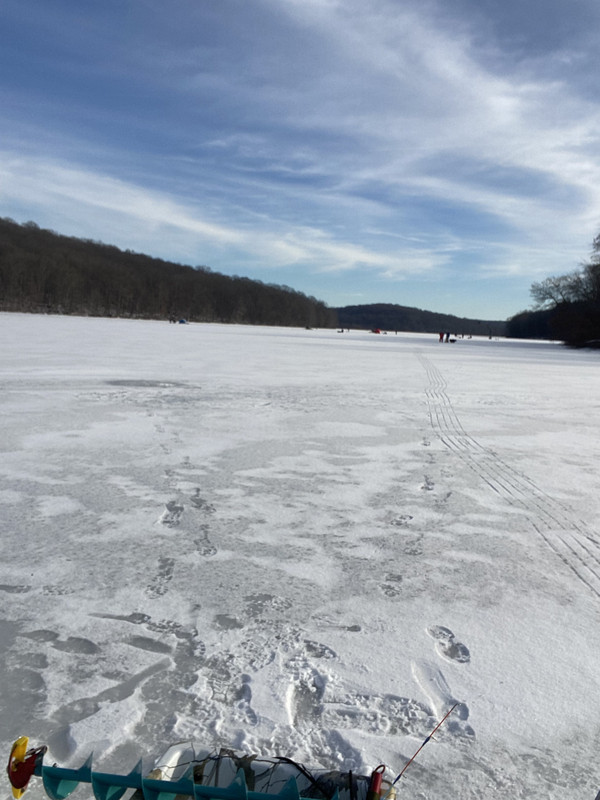 4 A188884 F389 4489 B774 3589106219 BE — Postimages