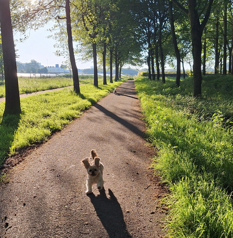 20240514 072525 — Postimages