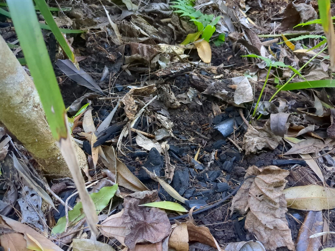 Imagepipe 0 — Postimages