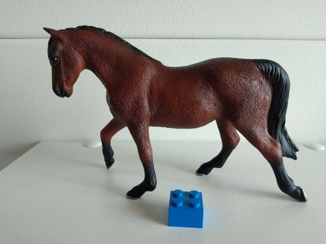 Wild and Farm animals 2020 from Mojo Fun!