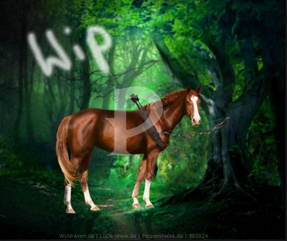 IMG 1587 — Postimages