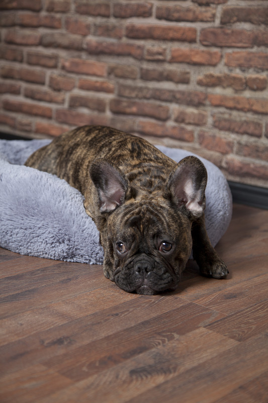 IMG 3552 — Postimages