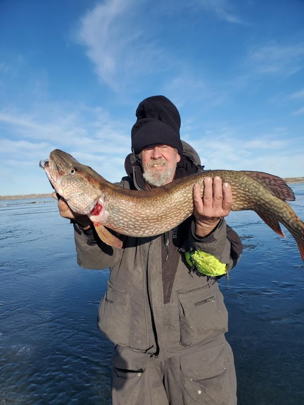 5 C09 D755 753 E 473 A AF3 A 421 EC8 E0 F9 FC — Postimages