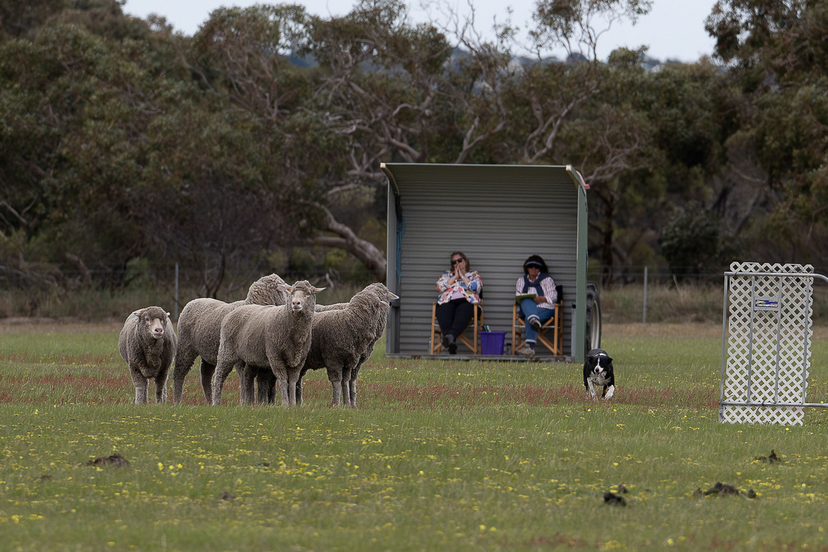 20210101 DSC 7154 2 Enhanced NR — Postimages