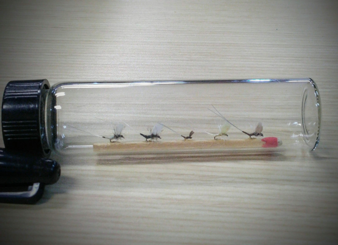 Bing Lempke 32 — Postimages