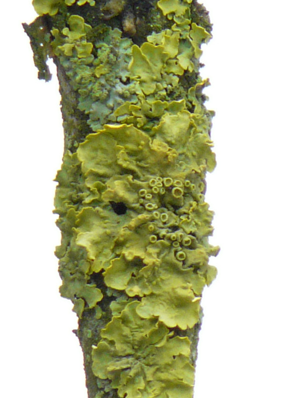 310309 0790 (1024) — Postimages