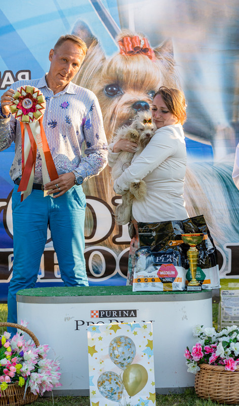 КВ 3476 — Postimages