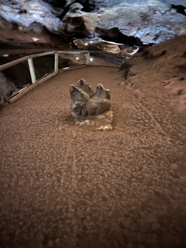 The Lost Sea - Everything Else - Bass Fishing Forums