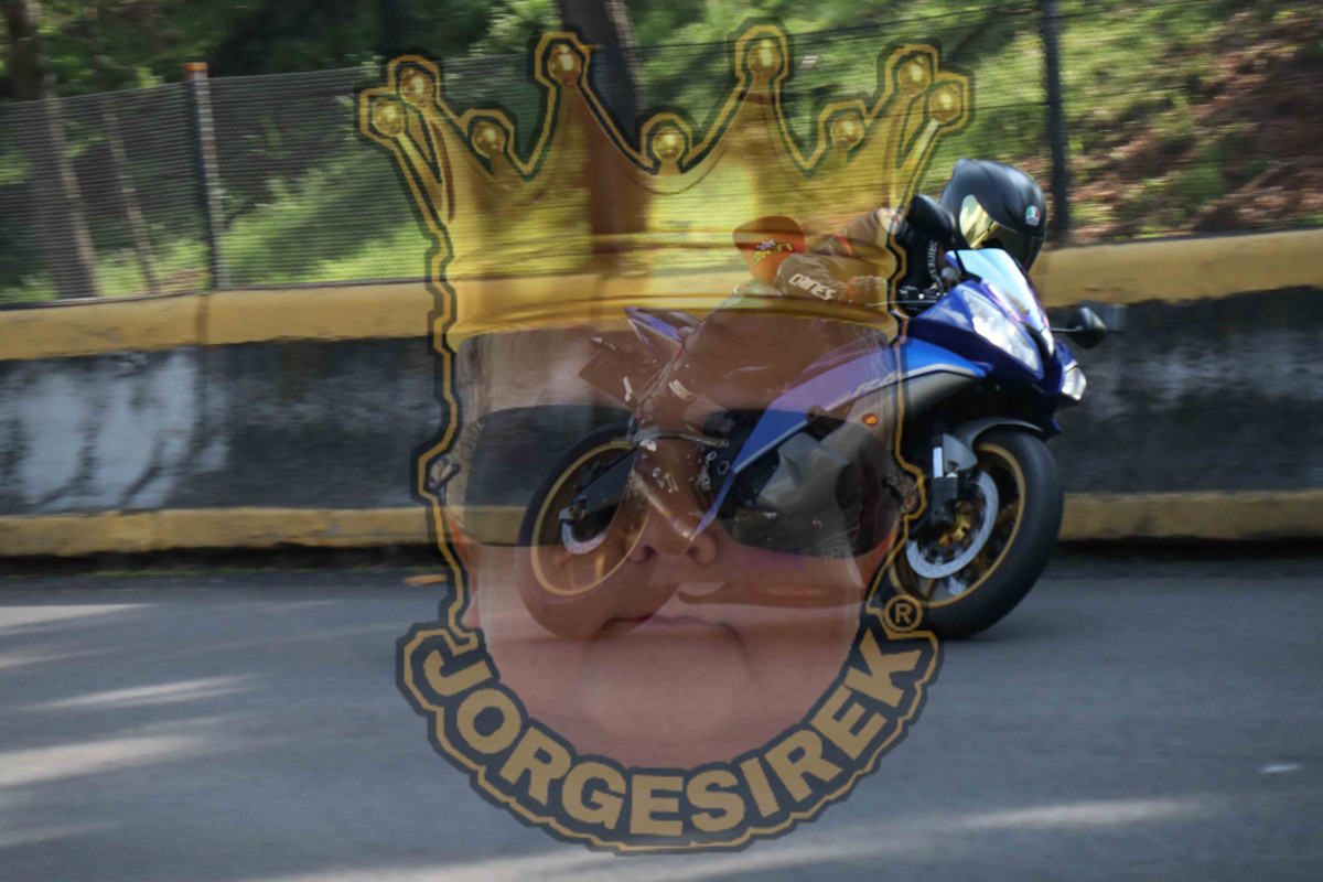 IMG 8281 — Postimages