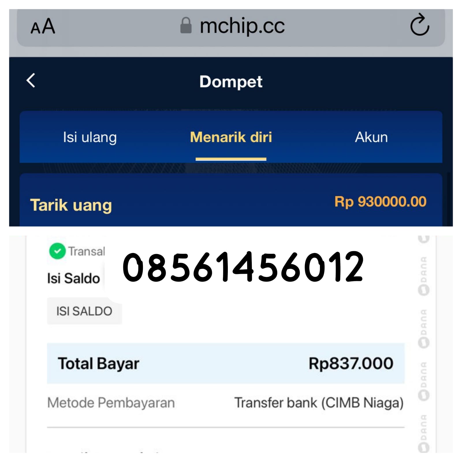 M CHIP GACOR — Postimages