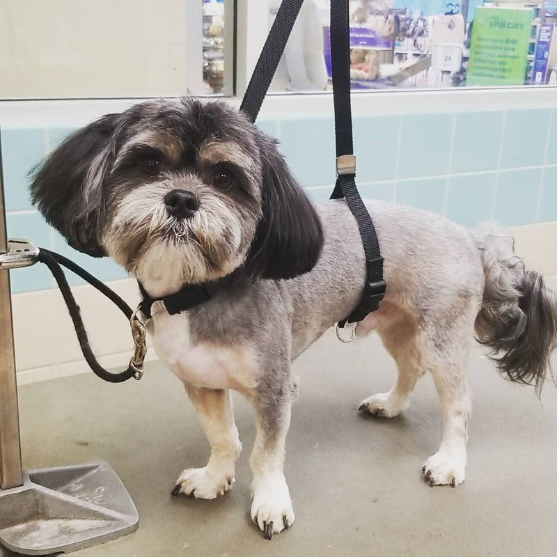 IMG 20210117 184140 134 — Postimages