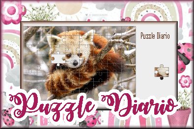 Portada Puzzle Diario — Postimages