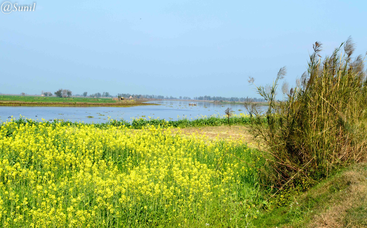 DSC 0125 — Postimages