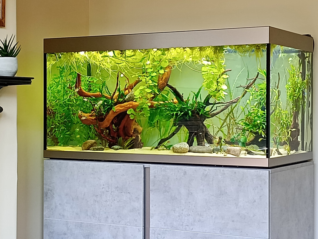 IMG 20240614 181548 SR — Postimages