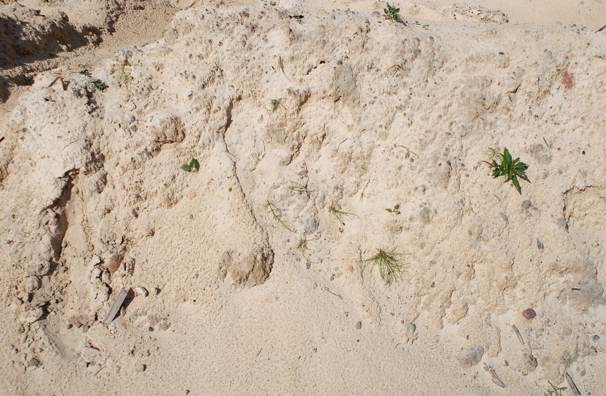 ground sand 1604 2006 Small — Postimages