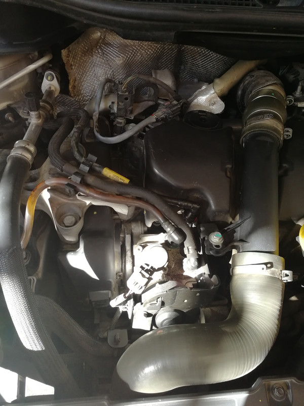 IMG 20231119 103856 — Postimages