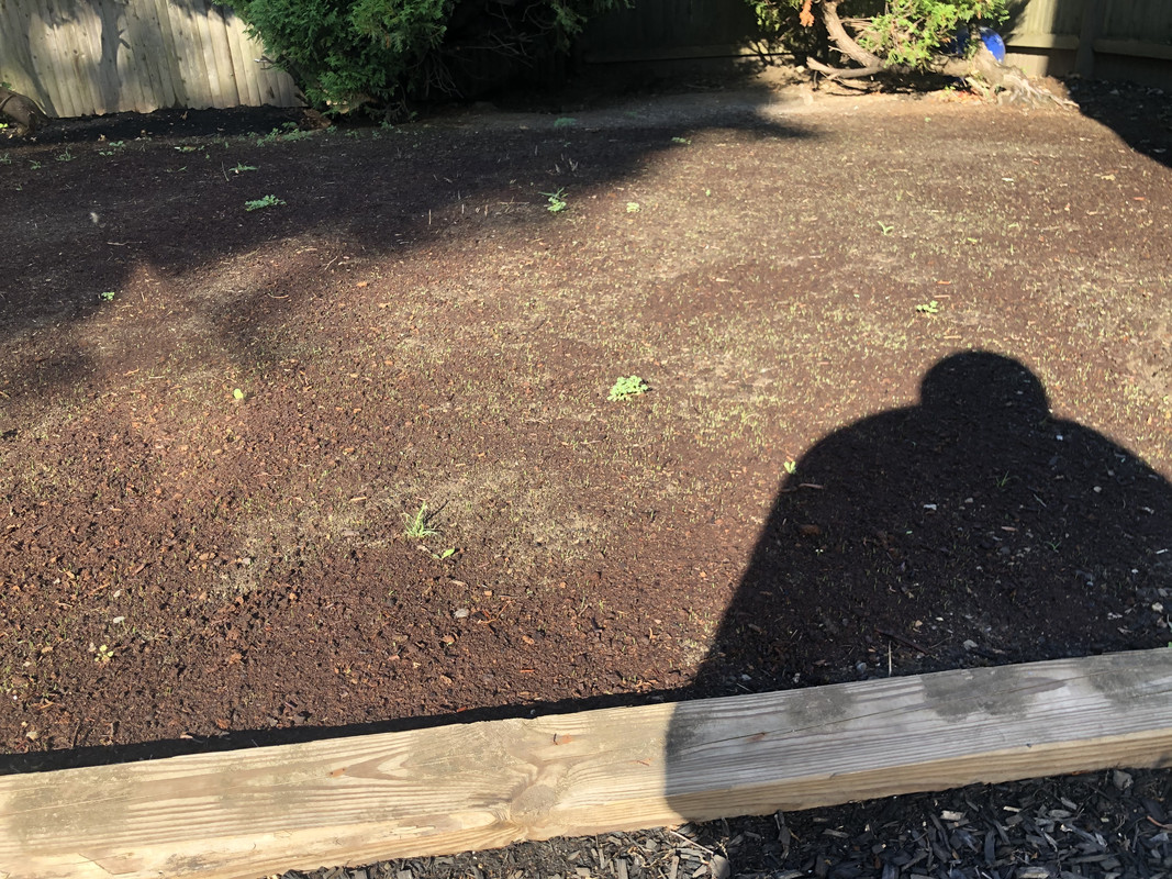 backyard — Postimages