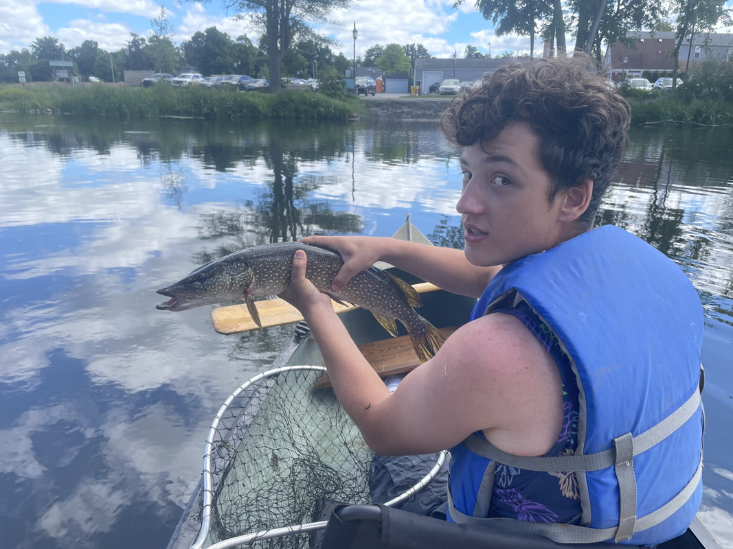 80 CDCBC7 7 CD6 4987 A76 F AF5 D20 AF245 E — Postimages