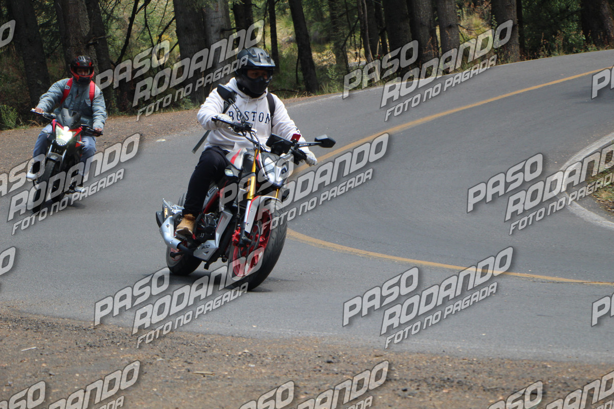 IMG 0723 wm 1887953 6 watermarked — Postimages