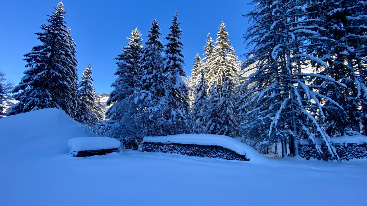 IMG 8975 — Postimages