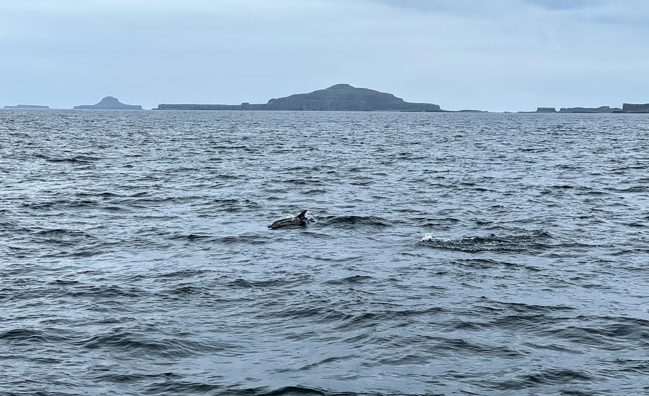 IMG 6619 — Postimages