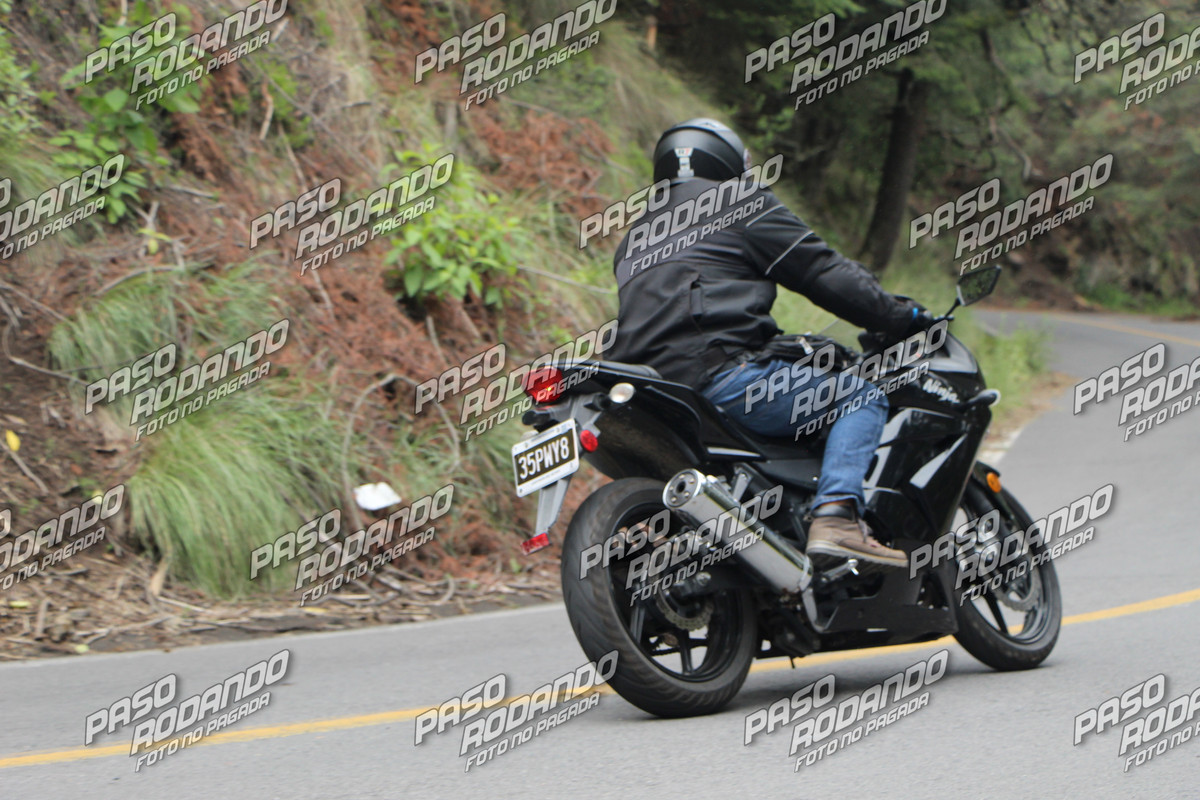 IMG 8376 wm 2090784 2000000002 watermarked — Postimages