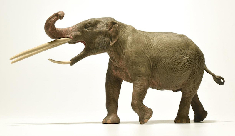 2022 Prehistoric Figure of the Year - Eofauna Konobelodon