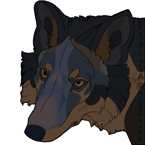 💥YWH icon! + NEW LION ICON! |:| Wolvden