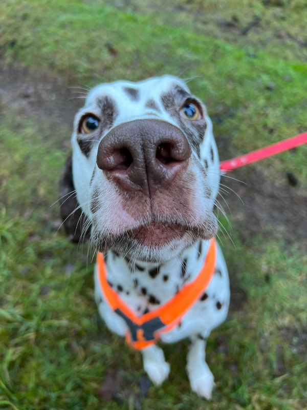 IMG 20230111 WA0014 — Postimages