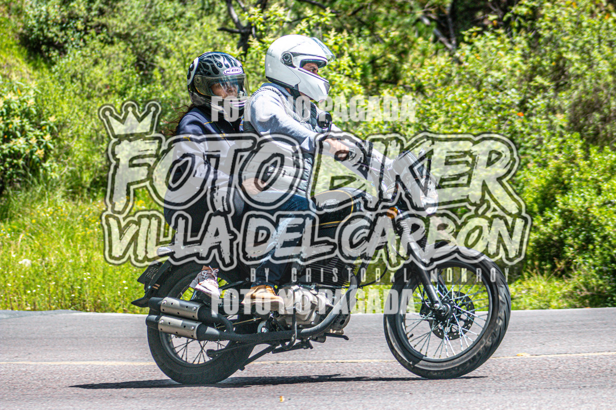 cvp0 137 — Postimages