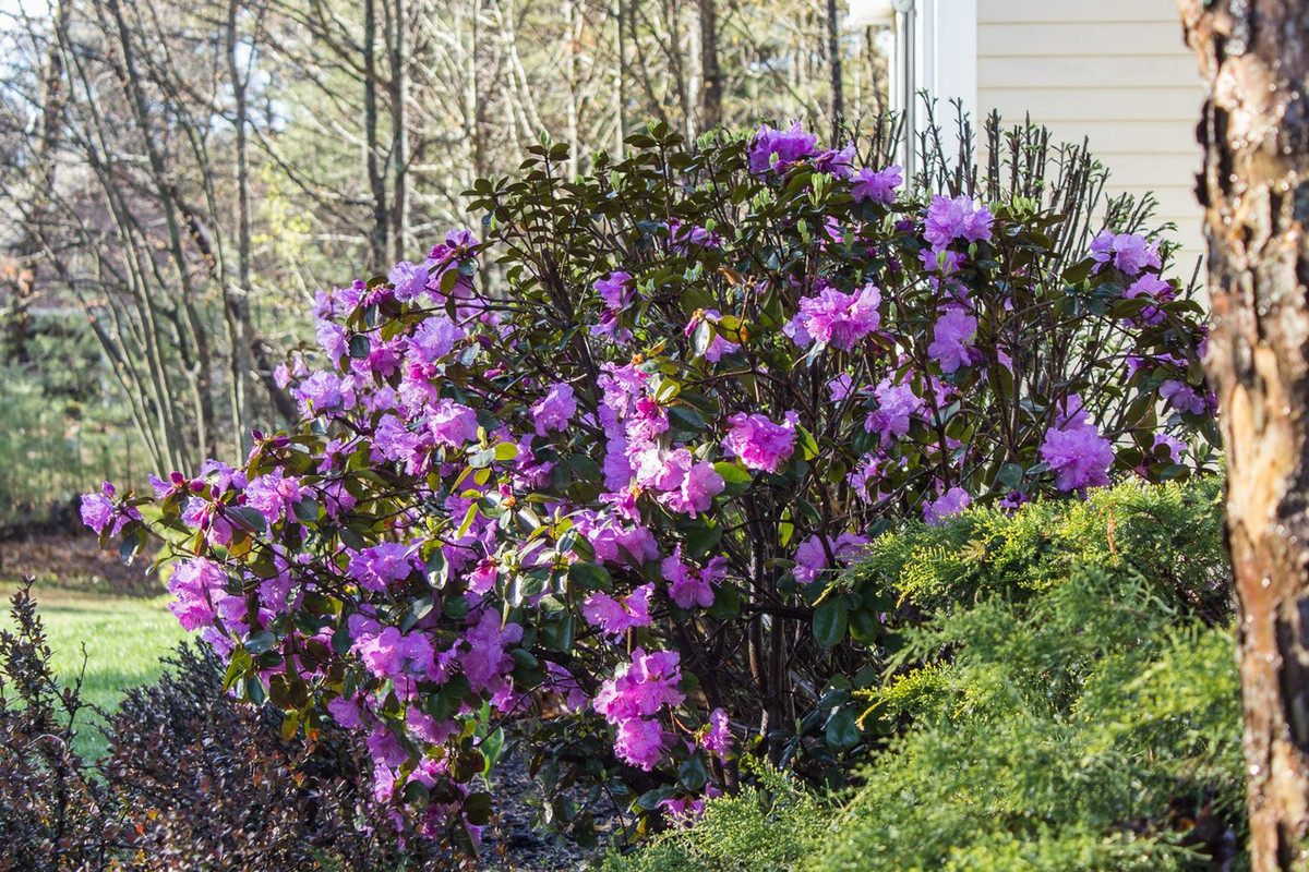 2 weeks diff 2 — Postimages