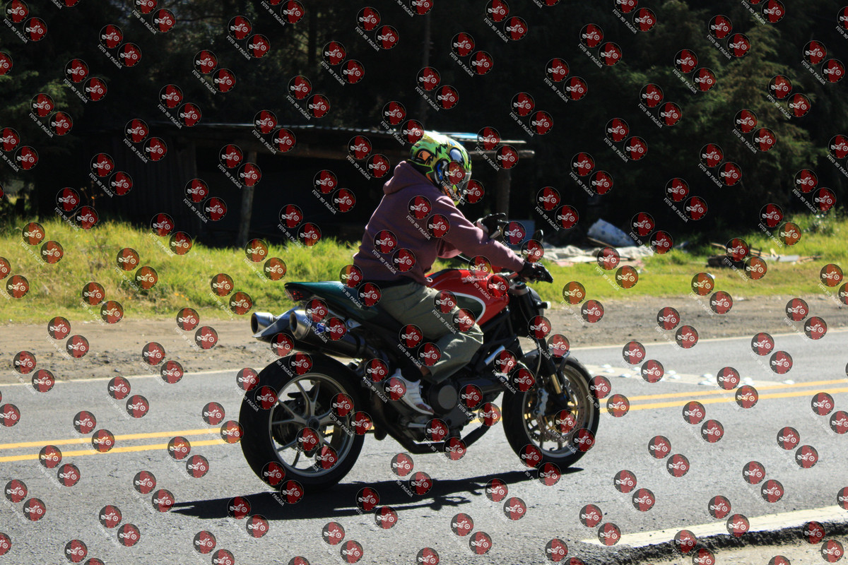 1700427569875 — Postimages