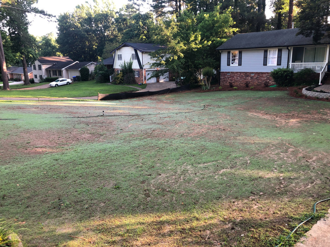 New grass dried/cracking dirt | Lawn Care Forum