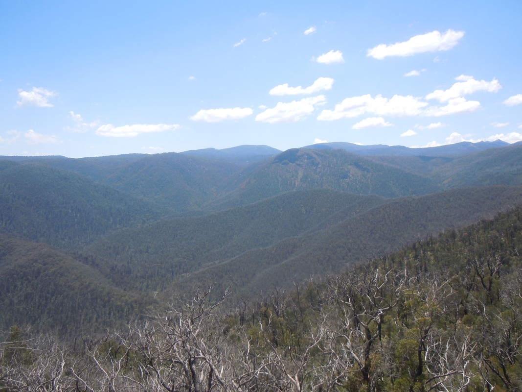 DSCN3692 — Postimages