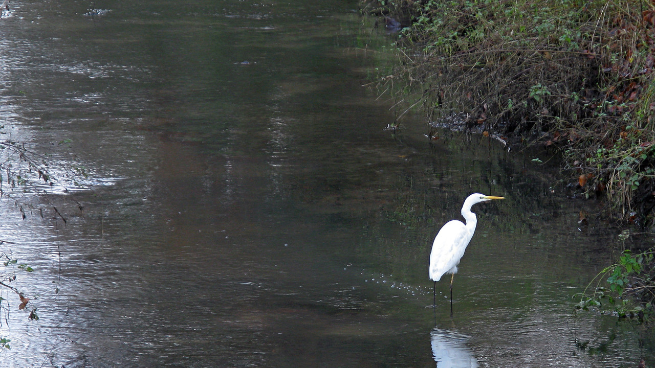 IMG 1674 — Postimages